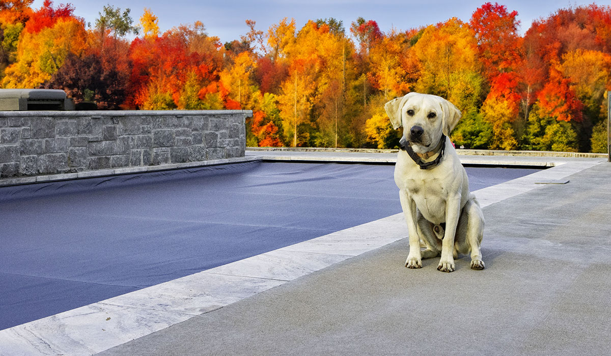 Closing Your Fiberglass Pool: Tips for a Leisurely Winter